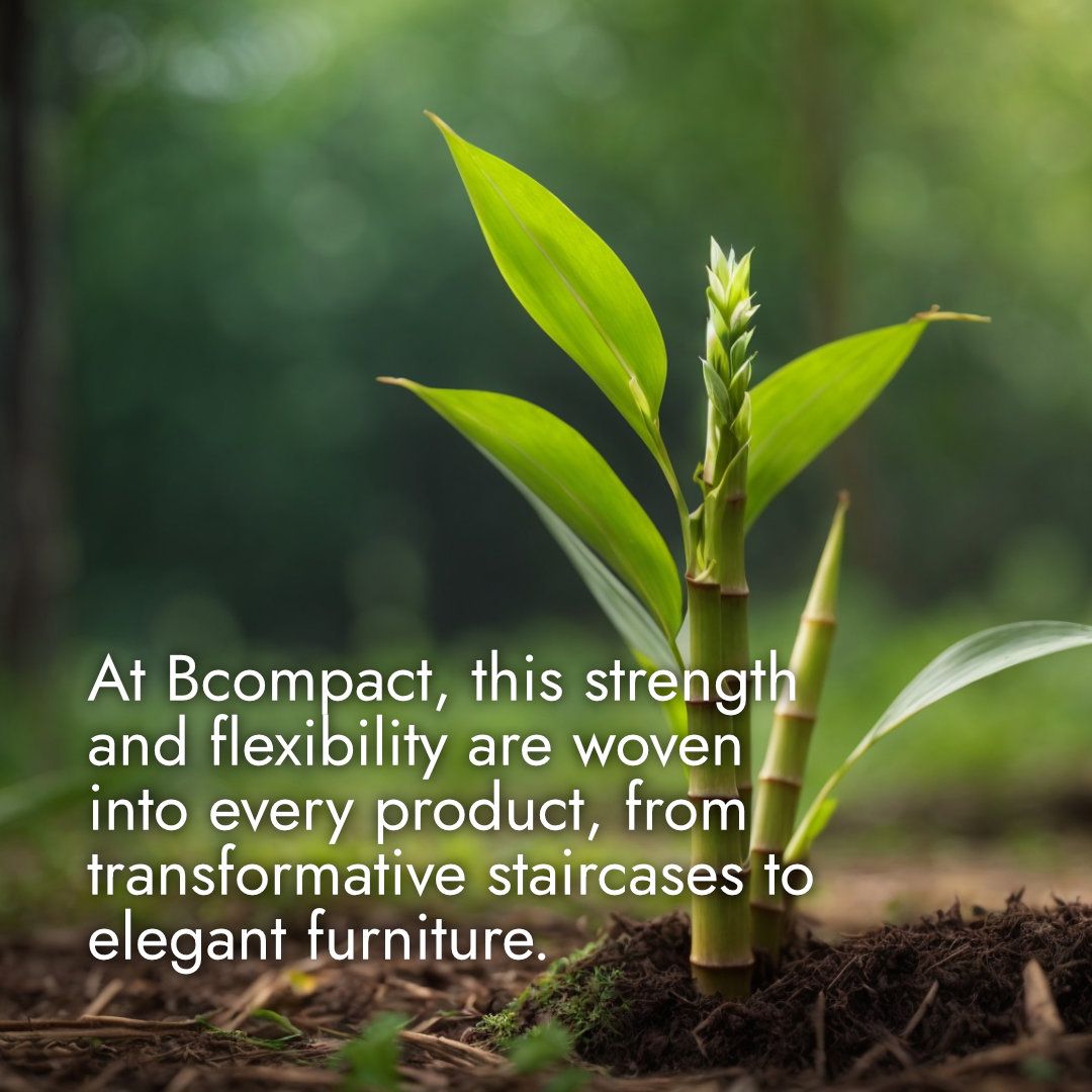 SUSTAINABILITY MEETS STRENGTH